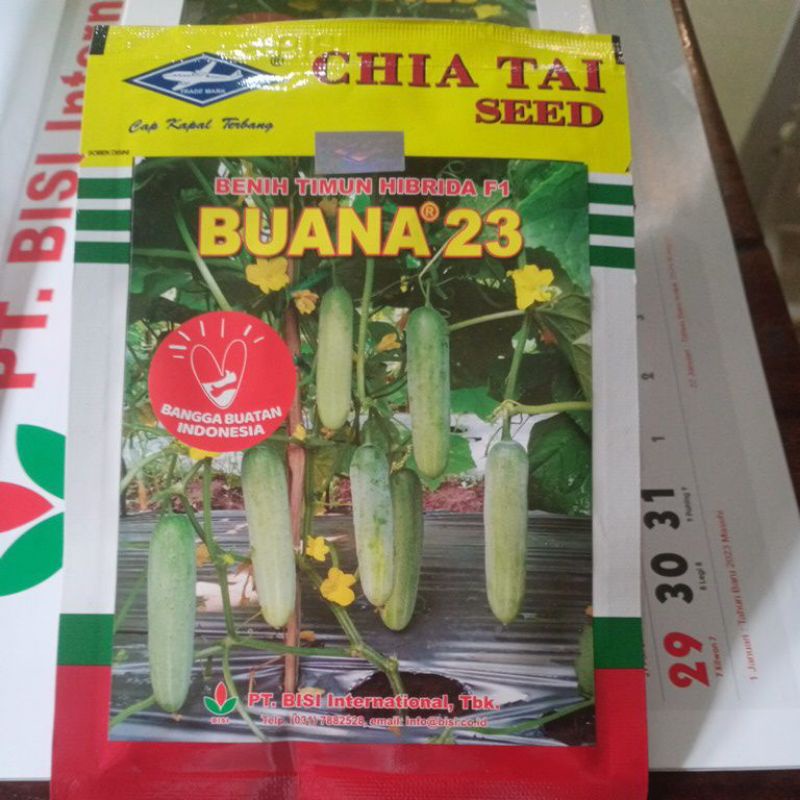 Jual Benih Timun Buana 23 (exp 19 - 11 - 2023) | Shopee Indonesia