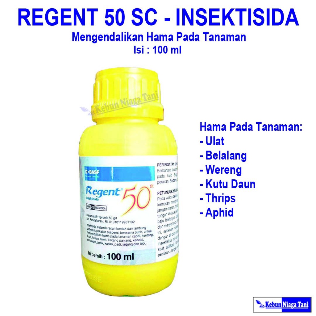 Jual Regent 100 ml - obat hama thrips, obat hama aphid, obat hama ulat ... Jual Regent 100 ml - obat hama thrips, obat hama aphid, obat hama ulat ...