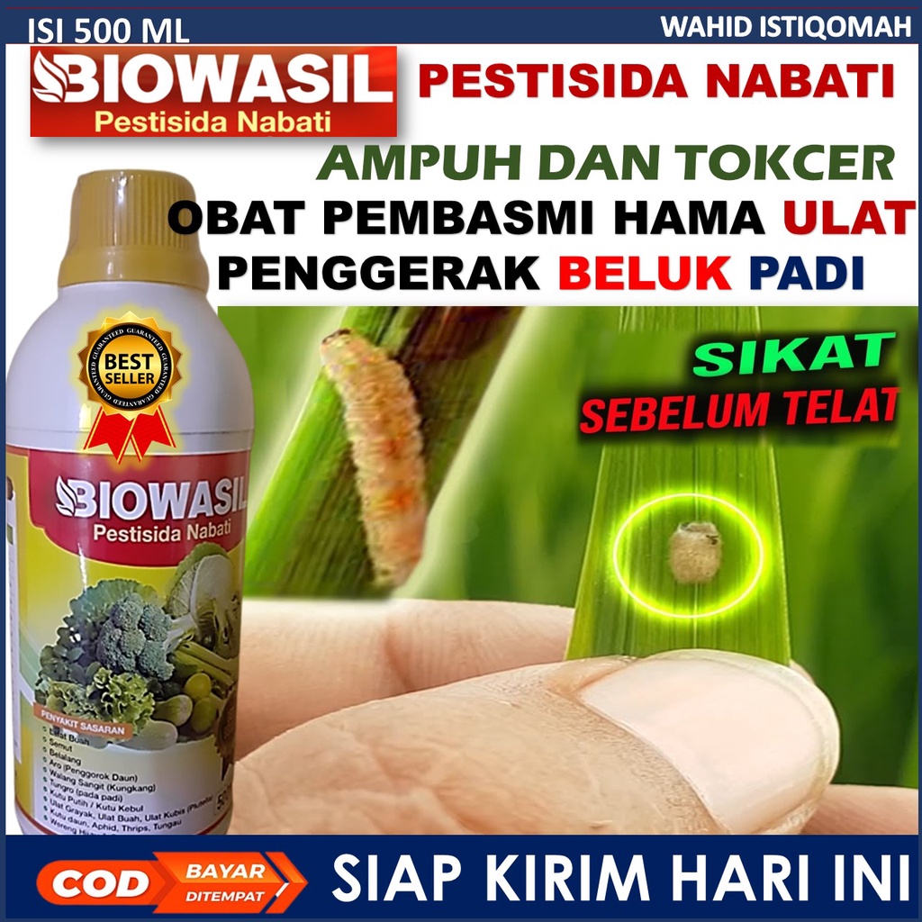 Jual (SIAP COD) PESTISIDA BIOWASIL 500ML OBAT PEMBASMI HAMA pada padi seperti ulat grayak ...
