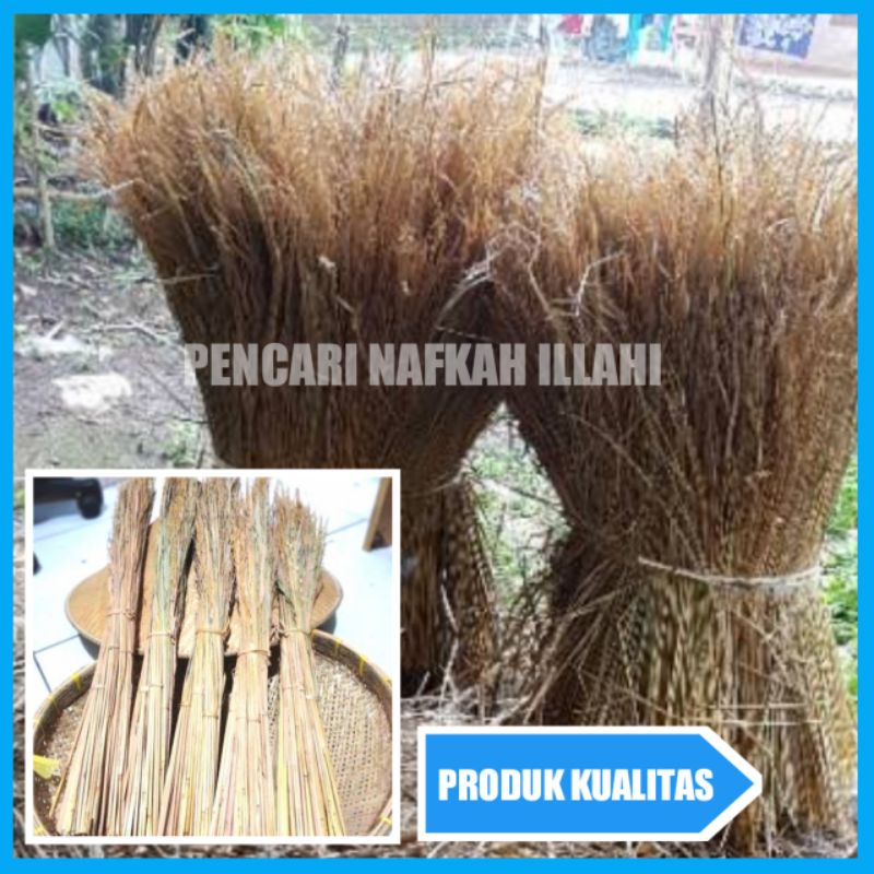 Jual Jerami padi 500gram per ikat | Shopee Indonesia