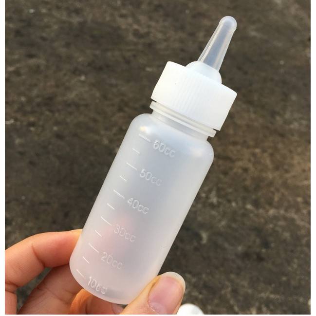 Jual BOTOL DOT KUCING 50ML DOT ANAK KUCING PERALATAN AIR SUSU BOTOL ...