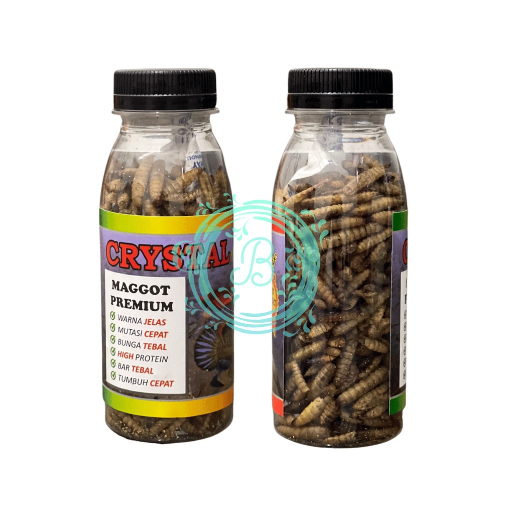 Jual Crystal Premium Dry Maggot Kering BSF Pakan ikan Hias Arwana ...