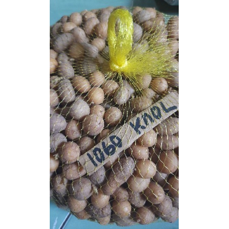 Jual benih kentang G0 1000biji ukuran Ss | Shopee Indonesia