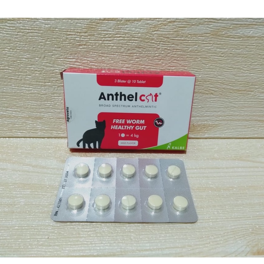 Jual Obat Cacing Kucing ANTHEL CAT Broad Spectrum Anthelmintic 1 tablet ...
