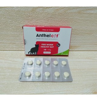 Jual Obat Cacing Kucing ANTHEL CAT Broad Spectrum Anthelmintic 1 tablet ...