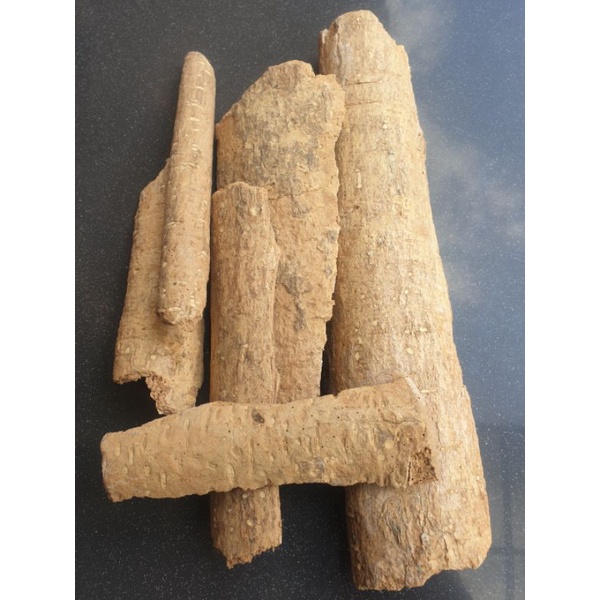 Jual Kulit Kayu Pule 1Kg | Shopee Indonesia