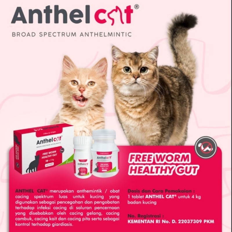 Jual Obat Cacing Kucing Anthel Cat | Shopee Indonesia