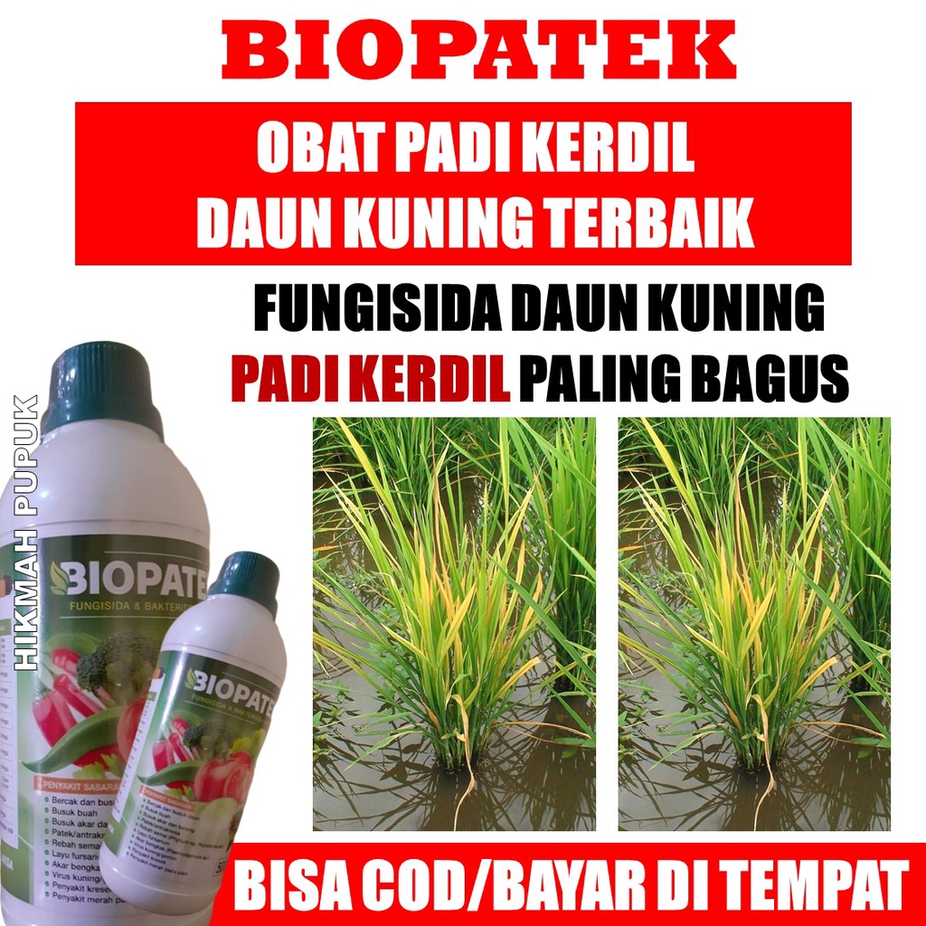 Jual Pupuk Fungisida Bakterisida BIOPATEK Basmi Padi Kerdil Hampa ...