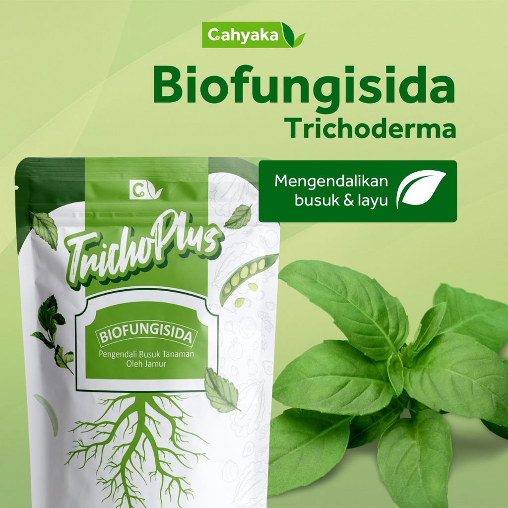 Jual Trichoderma Pengendali Busuk Akar, Batang, Daun TRICHOBIO | Shopee ...
