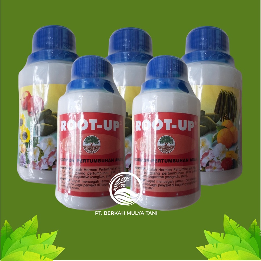 Jual Hormon Penumbuh Perangsang Akar Tanaman Stek Bonsai Cangkok Kaktus ...