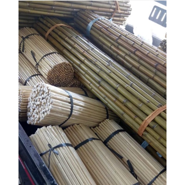 Jual TONGKAT KAYU PRAMUKA BAMBU /POLOS/MERAH PUTIH | Shopee Indonesia