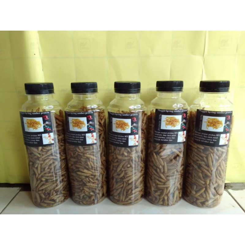 Jual Maggot kering/Maggot kemasan botol 250ml/Magot/makanan ikan canna ...