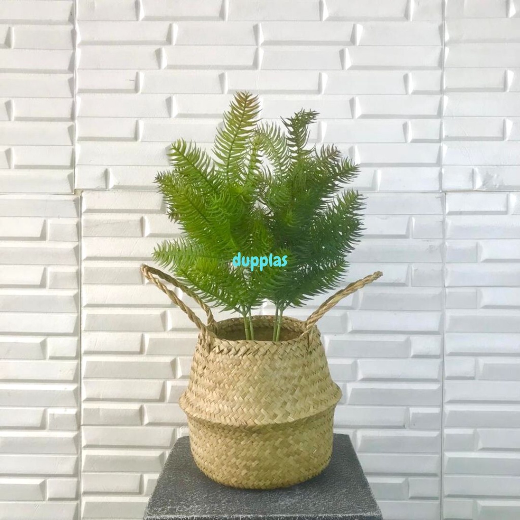 Jual Tanaman Hias Daun Pinus Cemara Tangkai X4 Latex Artificial Cover ...