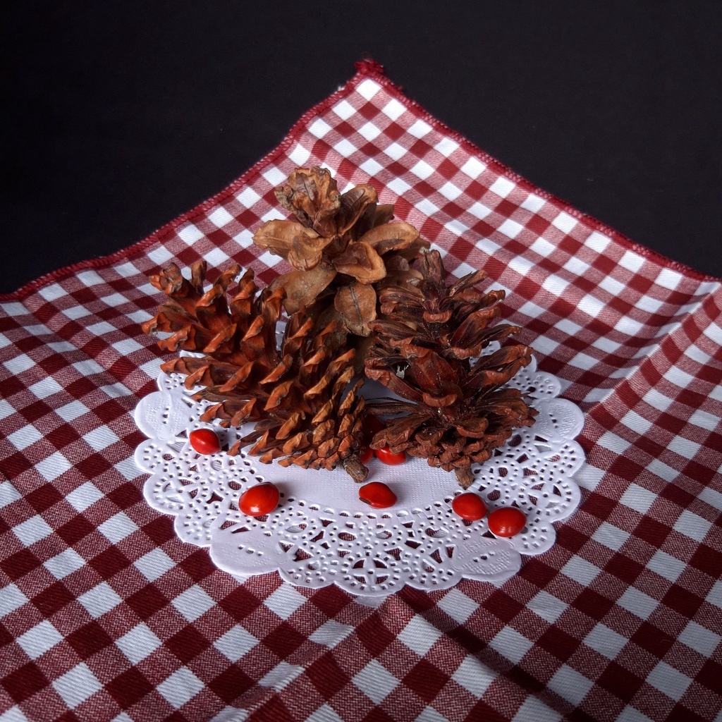 Jual Paket properti foto | properti foto produk aesthetic hemat ...