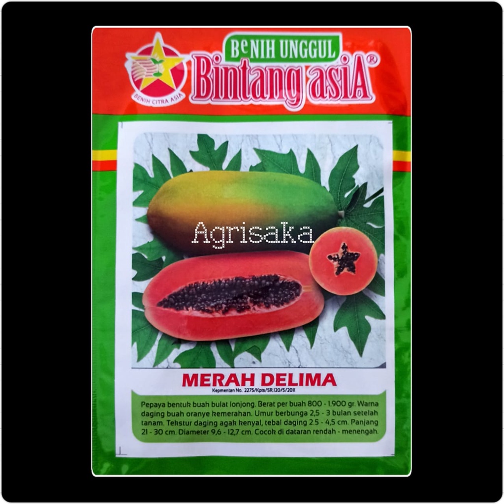 Jual Benih Pepaya MERAH DELIMA 1 Gram - Bintang Asia | Shopee Indonesia