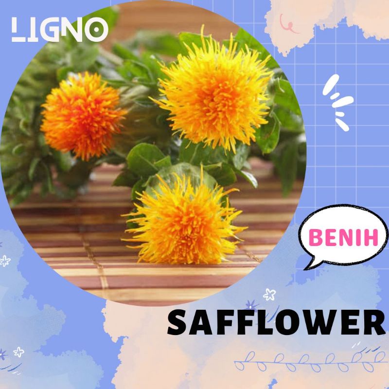 Jual Benih SAFFLOWER isi-5 Import Biji Bunga | Shopee Indonesia