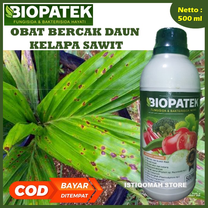 Jual BIOPATEK 500ml Fungisida & Bakterisida Hayati Obat Bercak Daun Kelapa Sawit Yang Ampuh ...