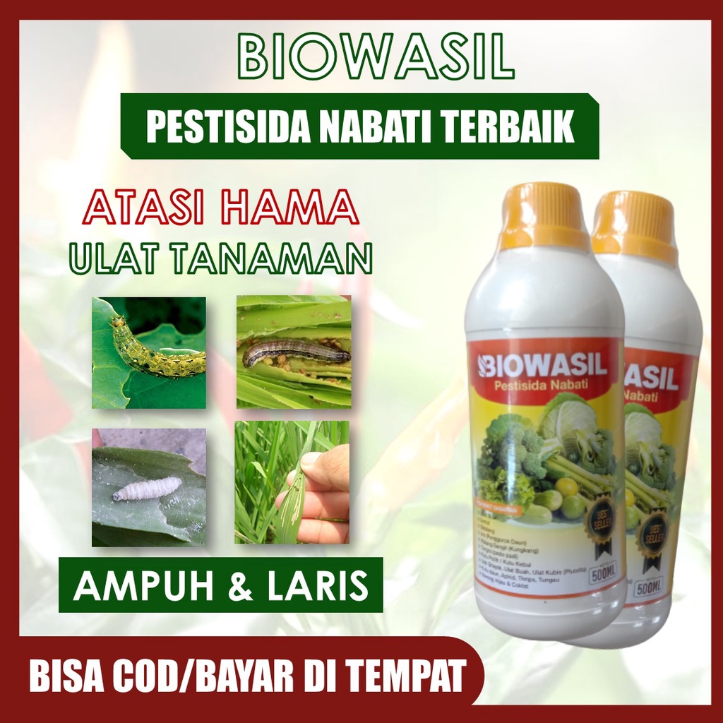 Jual (TERLARIS) BIOWASIL Pestisida NABATI 500 ML Ampuh Basmi Ulat Cabe ...