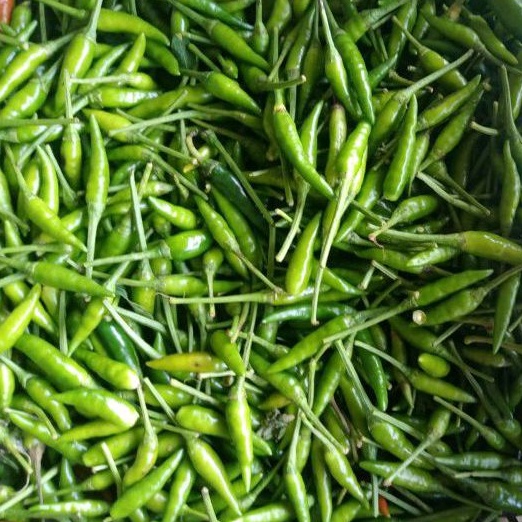 Jual Cabe rawit hijau/cabe hijau 500g | Shopee Indonesia