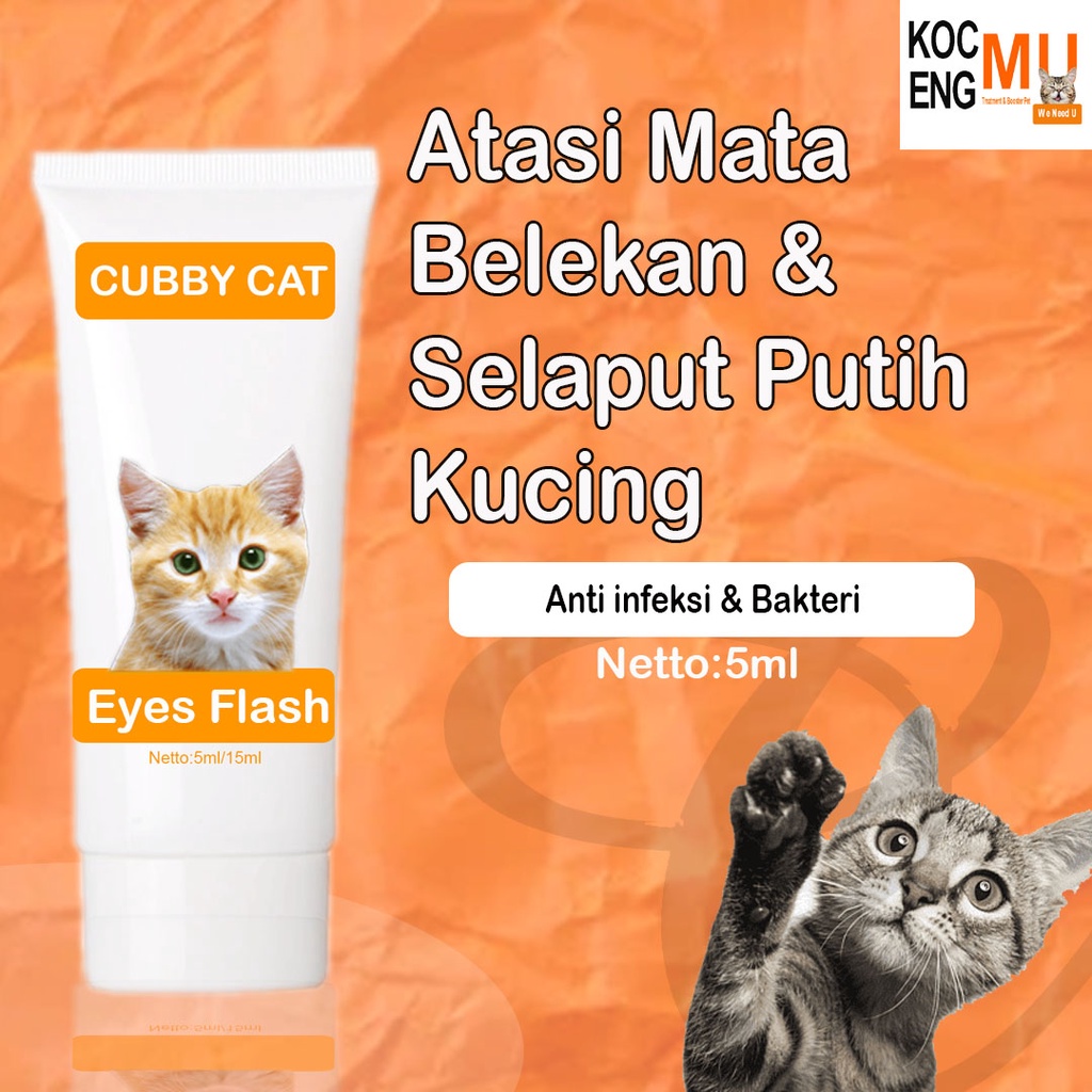 Jual Salep Mata Kucing Belekan Berair Obat Mata Kucing Bengkak Cubbycat ...