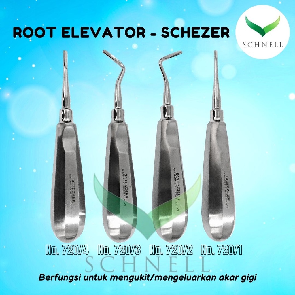 Jual Root Elevator Bein Schezer Dental Instrument | Shopee Indonesia