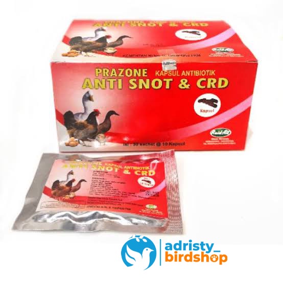 Jual PRAZONE kapsul antibiotik ANTI SNOT CRD | Shopee Indonesia