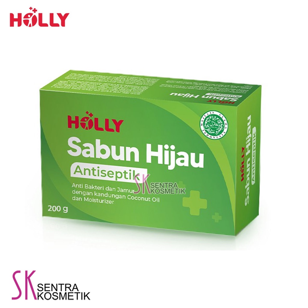 Jual Holly Sabun Hijau Box Tipe 200gr Antiseptik Anti Bakteri & Jamur ...