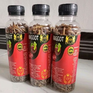 Jual maggot sangrai kering kemasan 250ml untuk pakan ternak | Shopee ...
