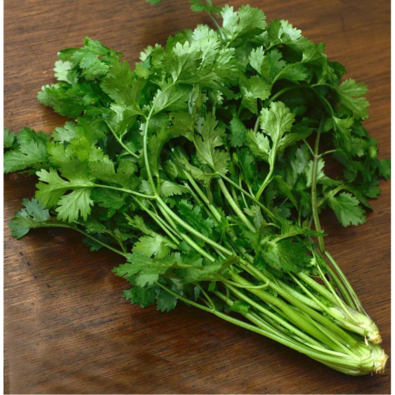 Jual Daun ketumbar organik 200gr ( Coriander ) | Shopee Indonesia