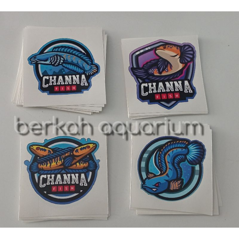 Jual stiker sticker ikan channa maru ys pulchra asiatica andrao limbata ...