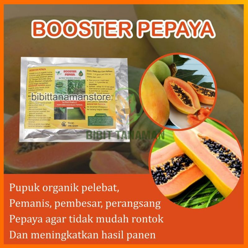 Jual Pupuk Organik Pelebat Buah Dan Booster Pepaya Cepat Berbuah Lebat | Shopee Indonesia