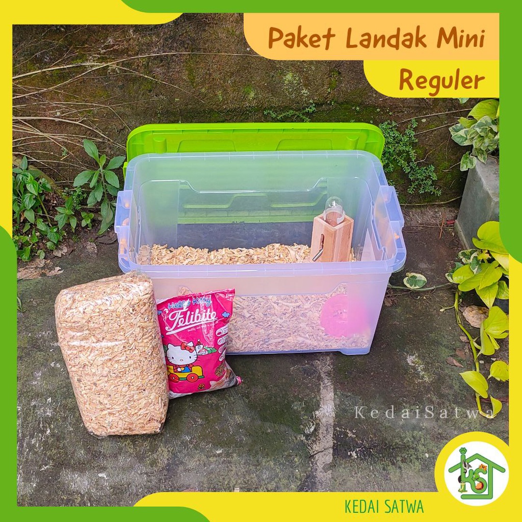 Jual Paket Kandang Landak Mini Murah | Kontainer Kontener | Terrarium ...
