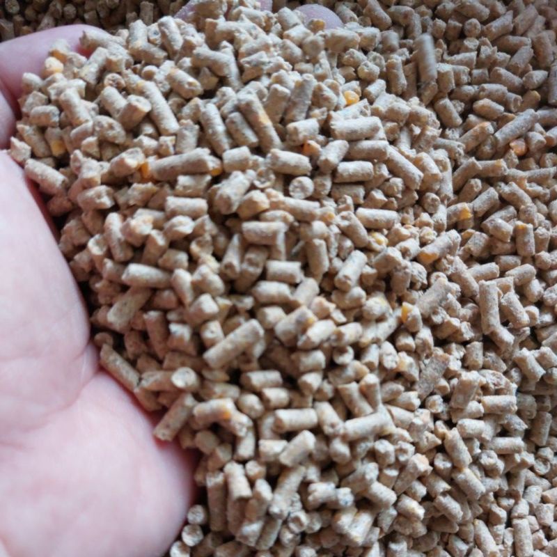 Jual PUR PELET MAKANAN PAKAN AYAM PEDAGING PENGGEMUK DEWASA AD 2 II ...