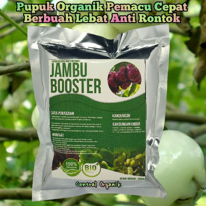Jual Pupuk Organik Pelebat Buah Dan Booster Jambu air Cepat Berbuah Lebat | Shopee Indonesia