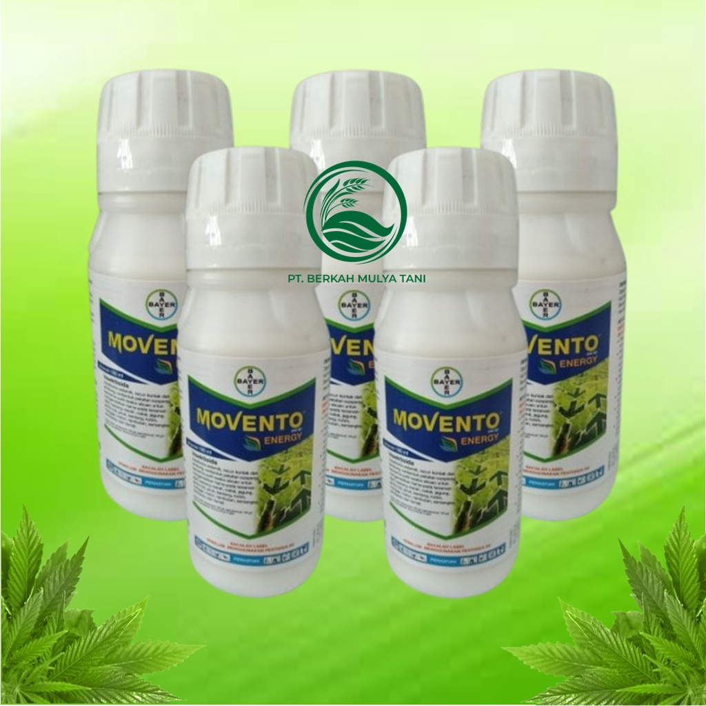 Jual Insektisida Movento Energy 240SC Original Bayer 100ml | Shopee ...