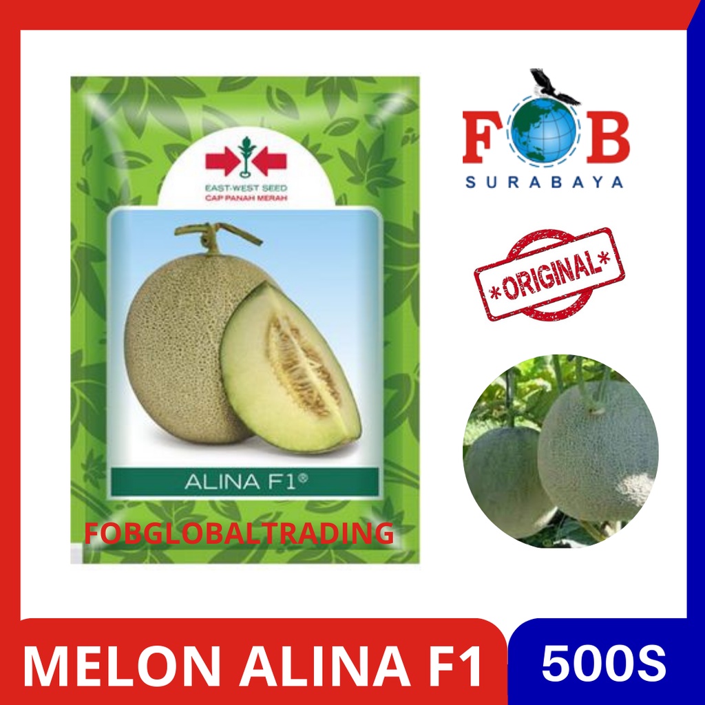 Jual BENIH MELON ALINA 500BUTIR MEREK PANAH MERAH | Shopee Indonesia