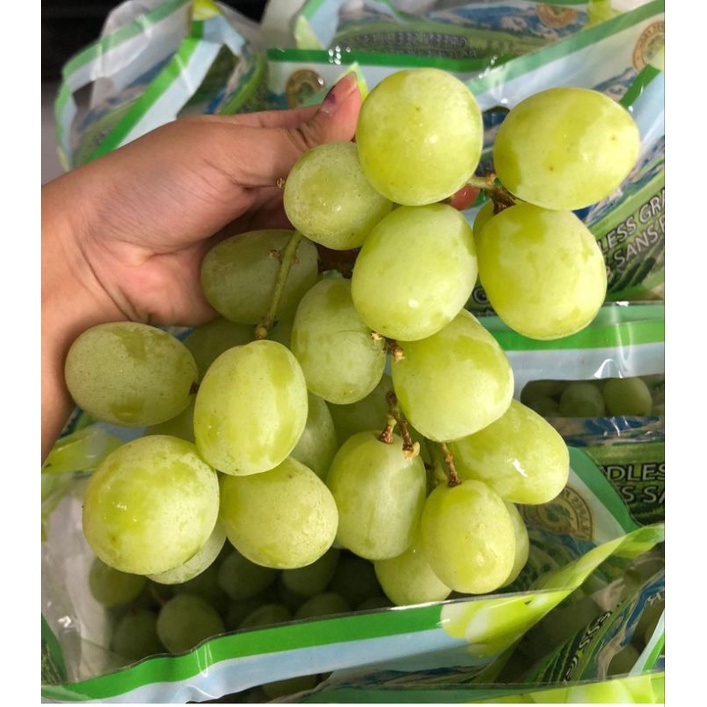 Jual Buah Anggur shine Muscat 500gr | Shopee Indonesia