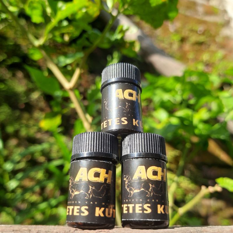 Jual ACH OBAT TETES KUTU PASIR LOMPAT BULU KUCING AMPUH MENCEGAH KUTU ...