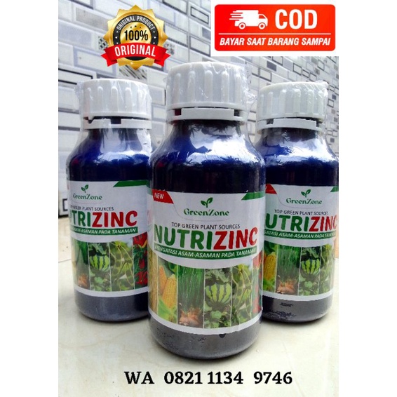Jual NUTRIZINC MENGATASI ASAM ASAMAN/KERDIL | Shopee Indonesia