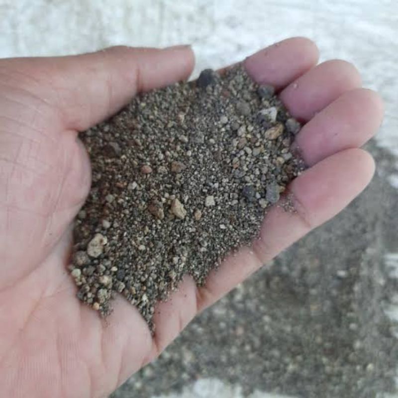 Jual pasir kali pasir ladu pasir humus media tanam 1kg | Shopee Indonesia