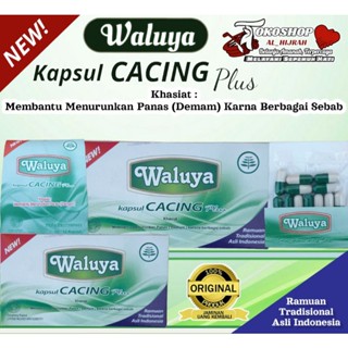 Jual KAPSUL CACING WALUYA OBAT MAAG KRONIS, TYPUS, LIVER & PENCERNAAN ...