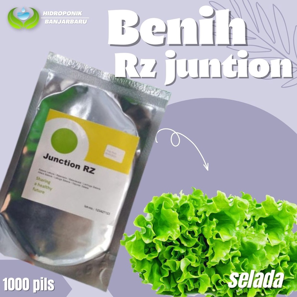 Jual BIBIT BENIH SELADA RZ JUNCTION 1000 PILS | Shopee Indonesia