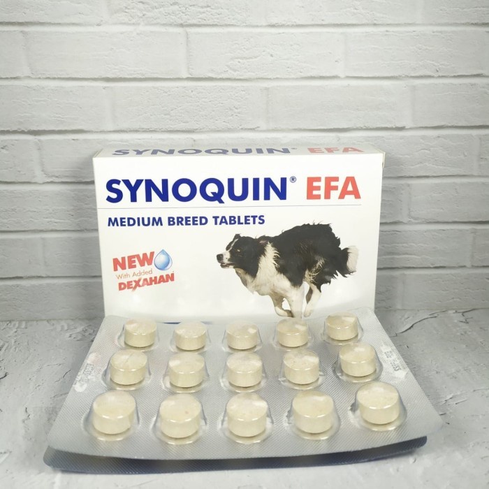 Jual Synoquin Medium Breed per tablet original | Shopee Indonesia