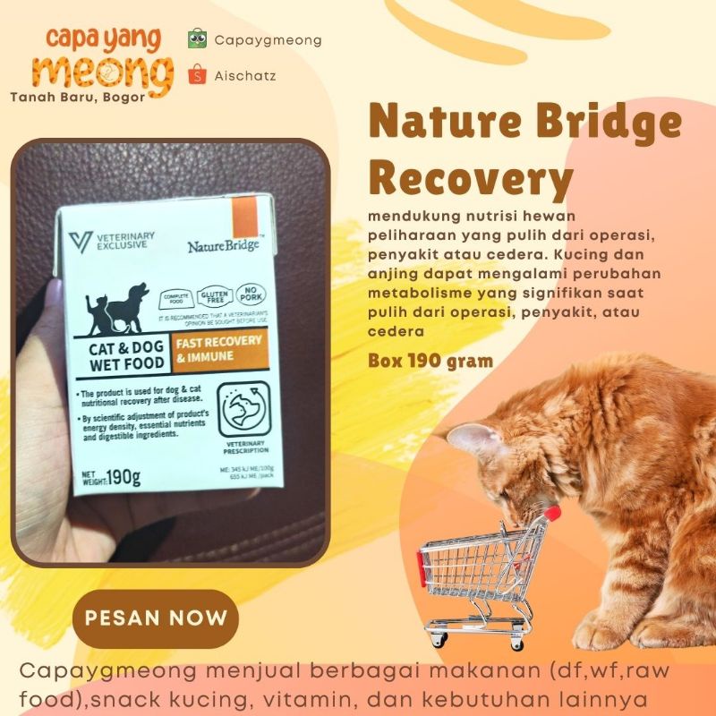 Jual nature bridge recovery gastrointestinal cat makanan kucing sakit ...