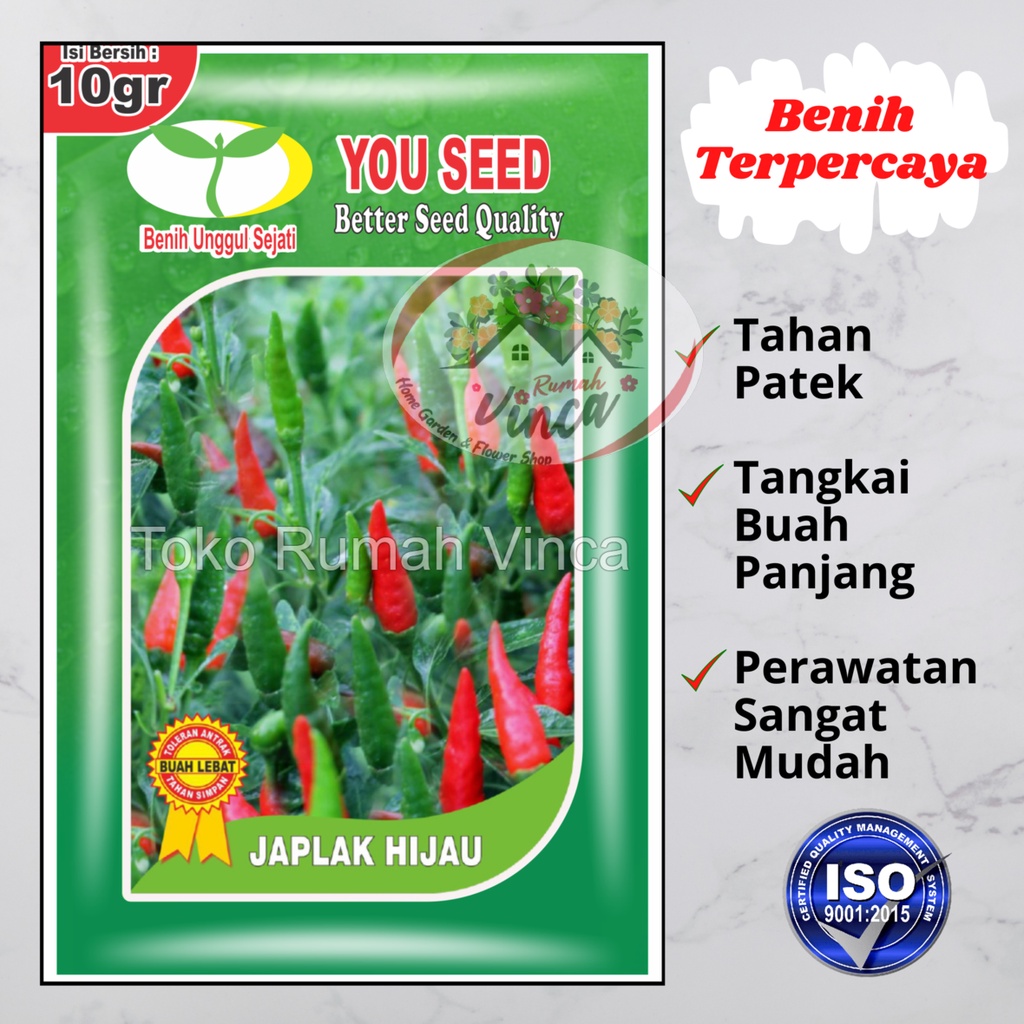 Jual Benih Bibit Biji cabe Rawit Hijau JAPLAK HIJAU 10gram Cap You Seed ...