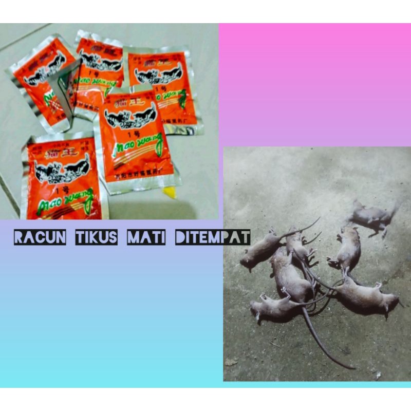 Jual RACUN TIKUS Mao Wang AMPUH MATI DISEKITAR RACUN ORIGINAL | Shopee ...