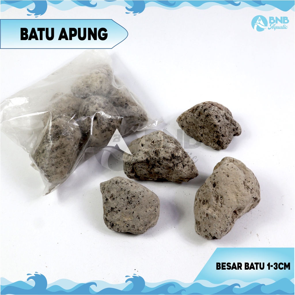 Jual Batu Apung/Pumice Stone Media Filter Media Tanam | Shopee Indonesia
