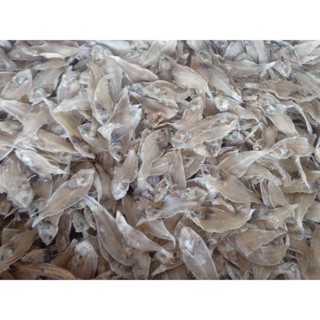 Jual ikan pihi baby 1kg | Shopee Indonesia