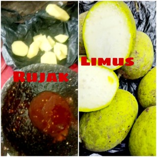 Jual BUAH LIMUS MUDA ATOU BUAH BACANG MUDA COCOK UNTUK IBU NGIDAM / 1 ...
