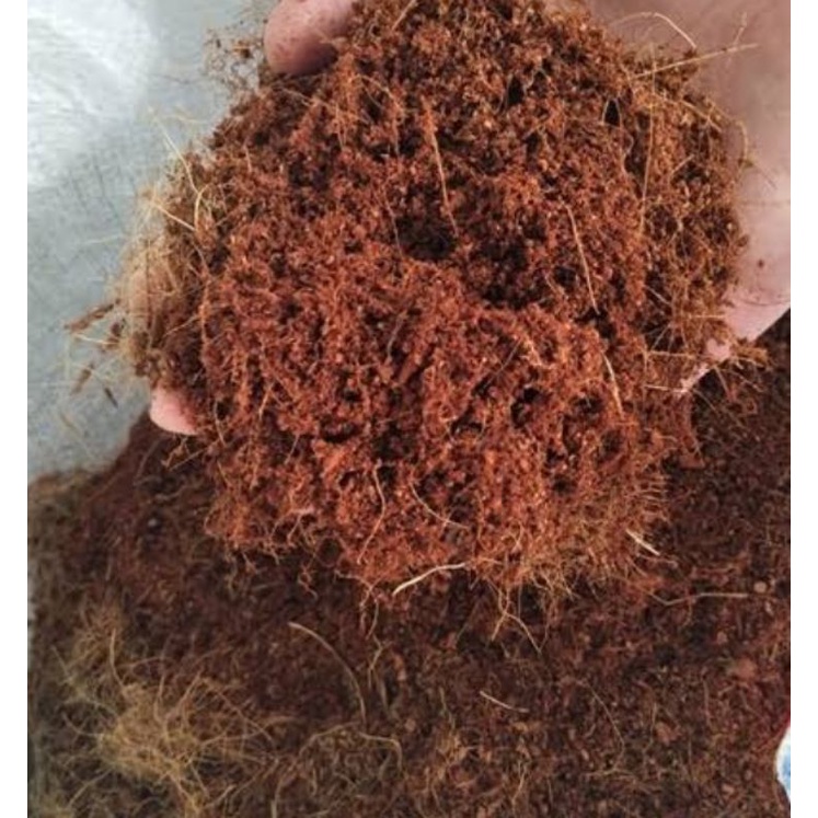 Jual COCOPEAT Serbuk Sabut Kelapa 1 Kg ( Sudah Banyak ) | Shopee Indonesia